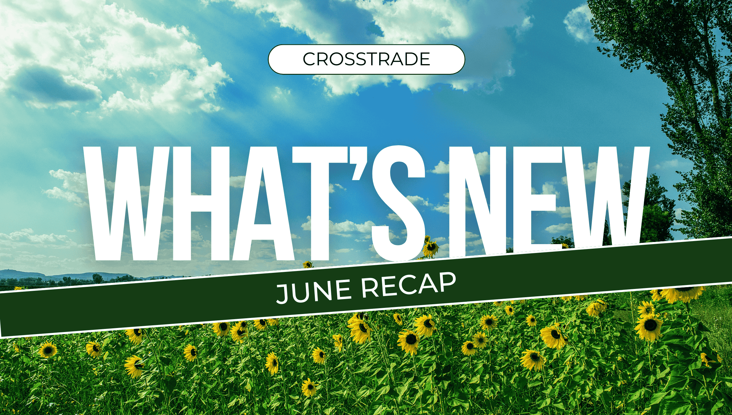 June 2025 Recap: CrossTrade v1.9.0 released with Strategy Sync and ...